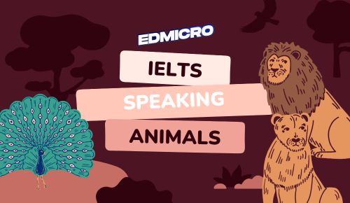 IELTS Speaking Animals – Câu Hỏi Và Trả Lời Band Cao