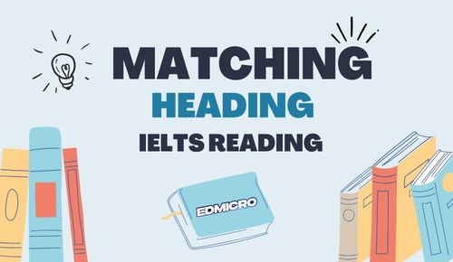 Cách Làm IELTS Reading Matching Heading Hiệu Quả Với 4 Bước