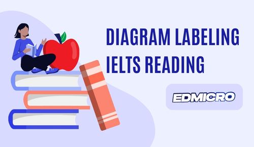 Diagram Labelling IELTS Reading – Chiến Thuật Đạt Band Cao