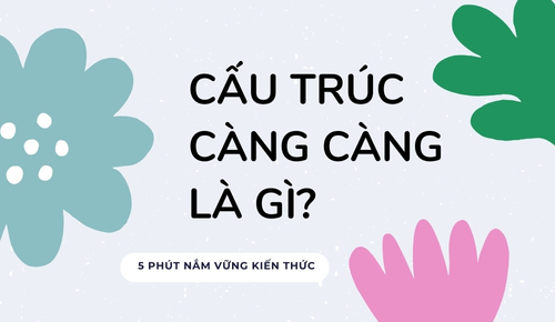 Cấu Trúc Càng Càng Là Gì? 5 Phút Nắm Vững Kiến Thức