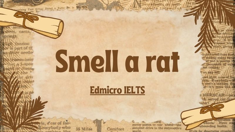 Smell A Rat Là Gì? 5 Phút Nắm Chắc Ý Nghĩa Cụm Từ
