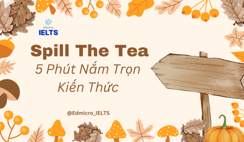 Spill The Tea - 5 Phút Nắm Trọn Kiến Thức