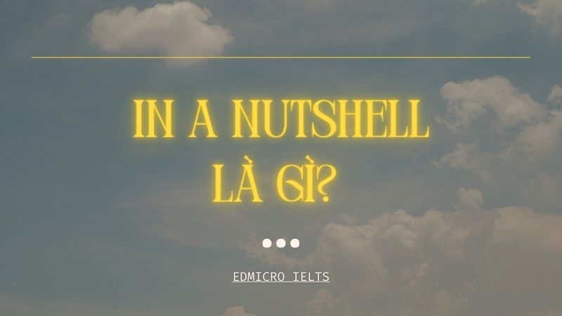 In A Nutshell Là Gì? Giải Đáp Kiến Thức Chi Tiết
