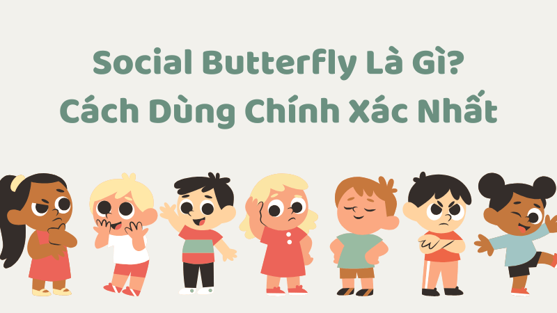 Social Butterfly Là Gì? Cách Dùng Chính Xác Nhất